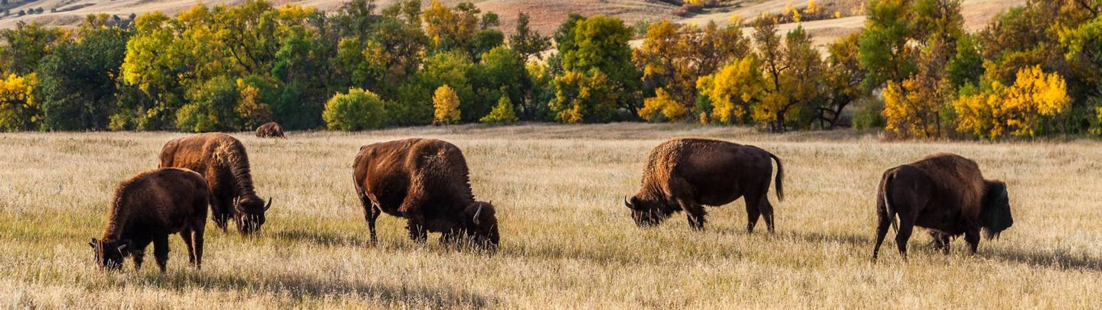 History - Western Iowa Tech Community College